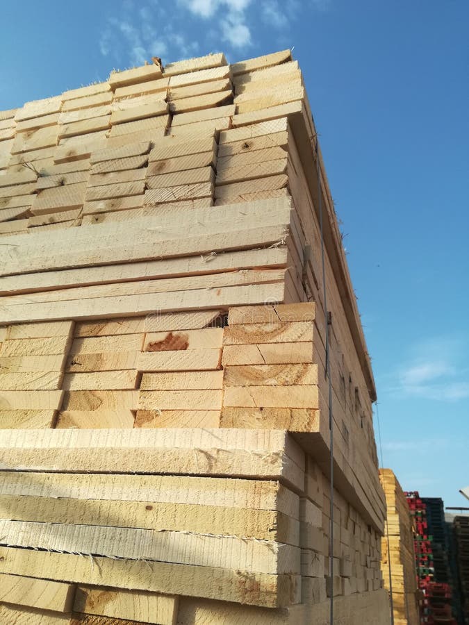 Sawn timber stock photo. Image of wood, industry, sawn - 98616548