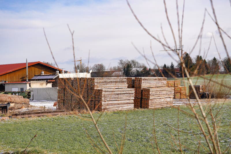 Sawn Timber Stacked in a Warehouse in a Sawmill Stock Image - Image of ...