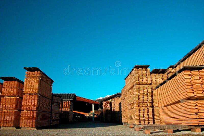 Sawn Timber Storage in the Wood Industry Stock Image - Image of economy ...
