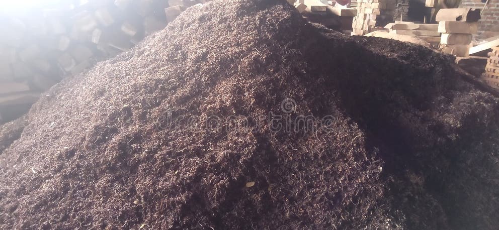 Sawn wood powder stock image. Image of terrain, geology - 229383397