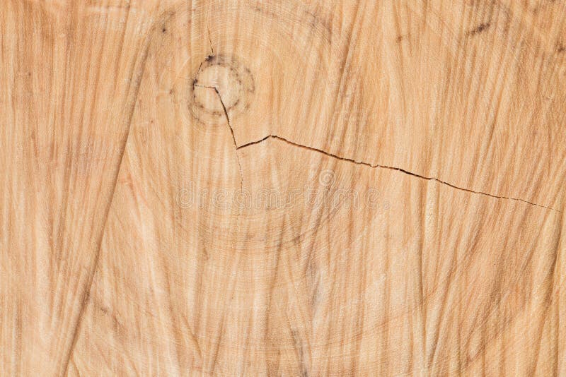 Sawn Wood Texture As Background Stock Image - Image of grain, bark ...