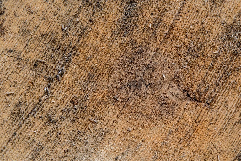 Glulam Texture Stock Photos - Free & Royalty-Free Stock Photos from ...