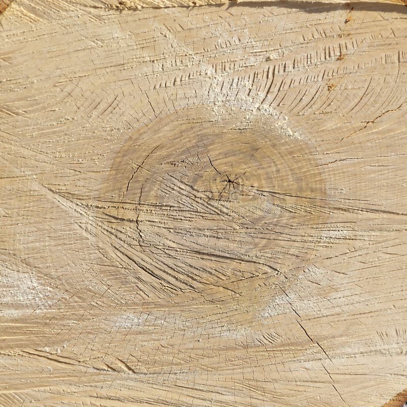 Sawn wood texture stock image. Image of crack, closeup - 216121939