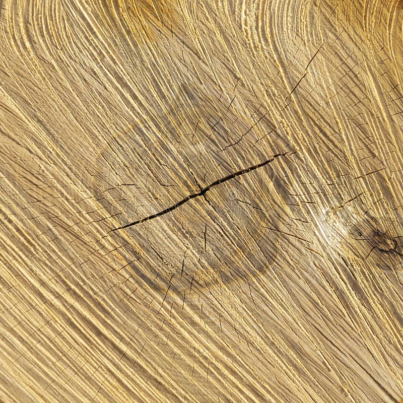Sawn wood texture stock image. Image of closeup, sawed - 216121975