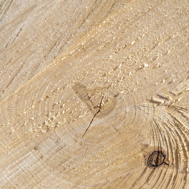 Sawn wood texture stock photo. Image of lumber, nature - 216413056