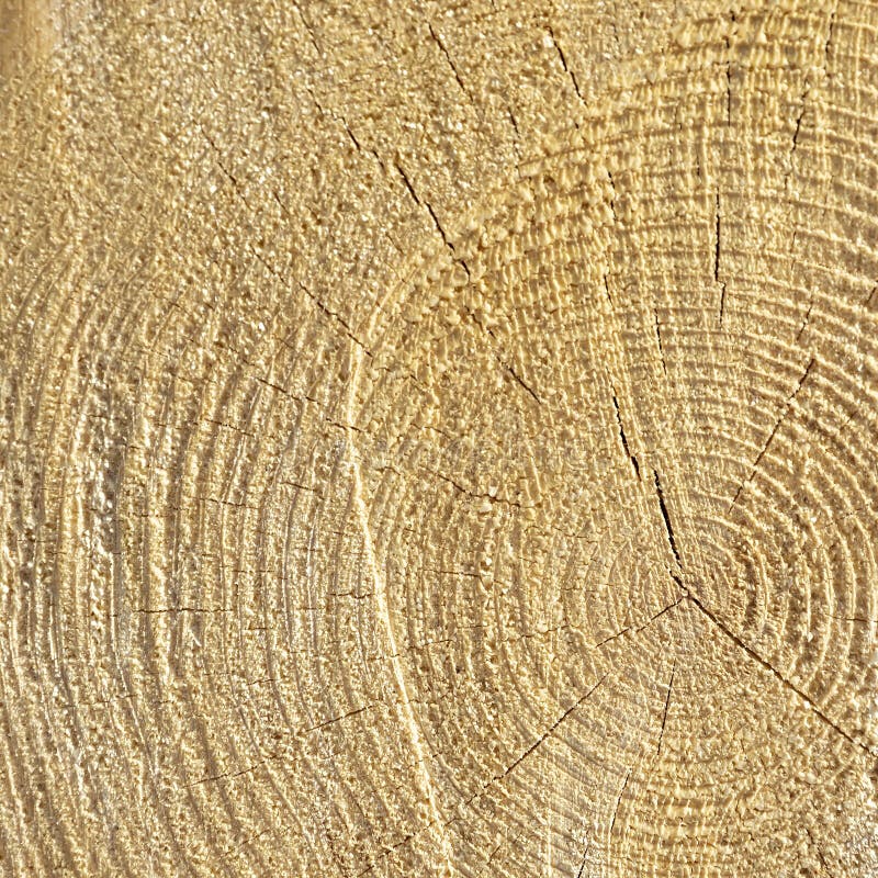 Sawn wood texture stock photo. Image of detail, grain - 216909146