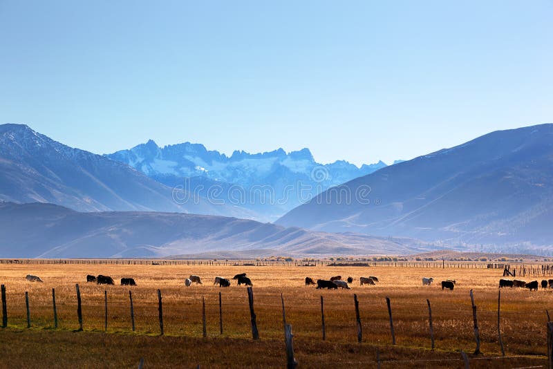 Sawtooth Ridge Formation, Bridgeport, California Stock Photo - Image of ...