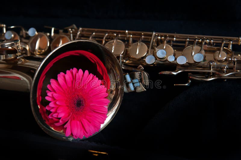 Saxofone com flor foto de stock. Imagem de aberto, instrumento - 53384354