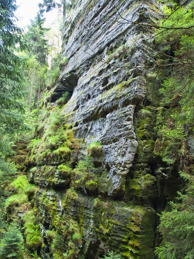 Saxon Switzerland stock image. Image of mountain, natural - 40557339