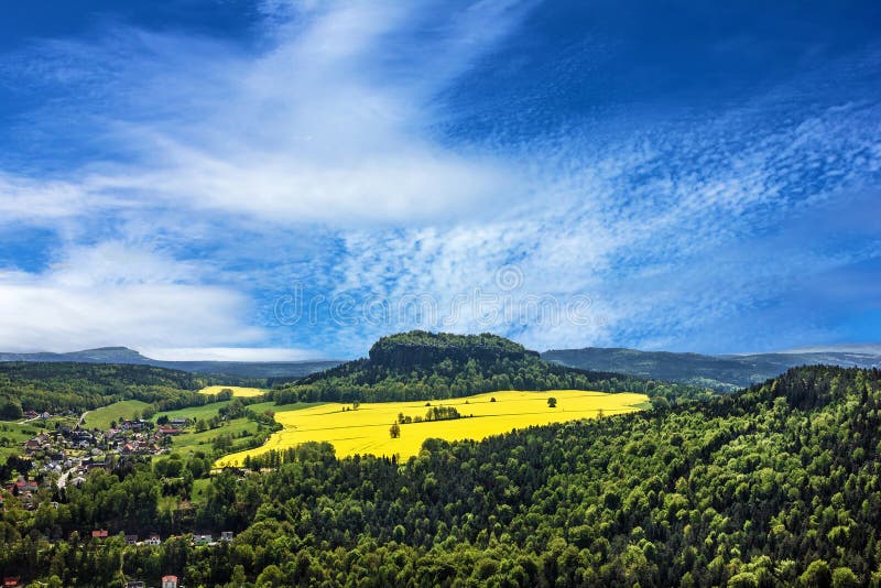 Saxony Colza Field Germany Natural Landscape Stock Photos - Free ...