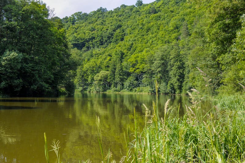Sazava River Surrounded by Woods in the Czech Republic Stock Photo ...