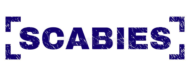 Scratched Textured SCABIES Stamp Seal between Corners Stock Vector ...