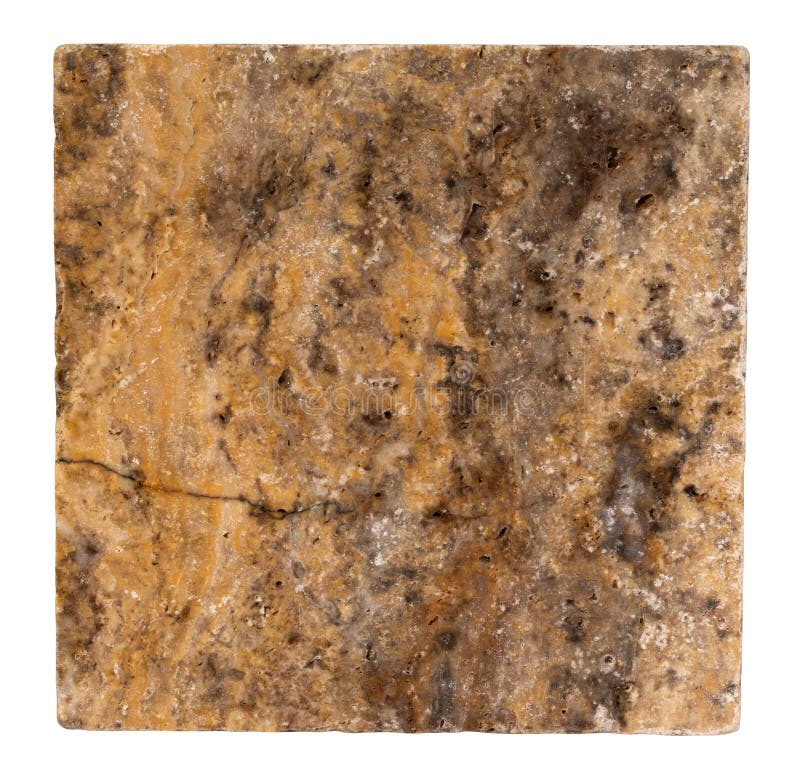 Natural Scabos Travertine Tile Isolated on White. Stock Image - Image ...