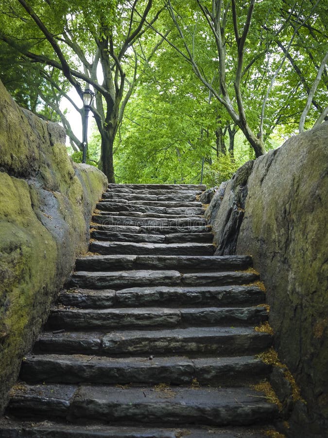 Scala Di Pietra, Central Park, New York Fotografia Stock - Immagine di ...