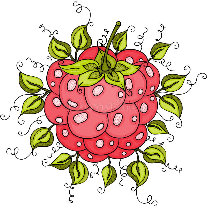 Set of Raspberry Green Leaves Illustration for Web Isolated on White ...