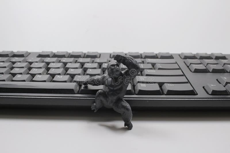 The Scale of Ape Attack the Computer Keyboard Stock Image - Image of ...