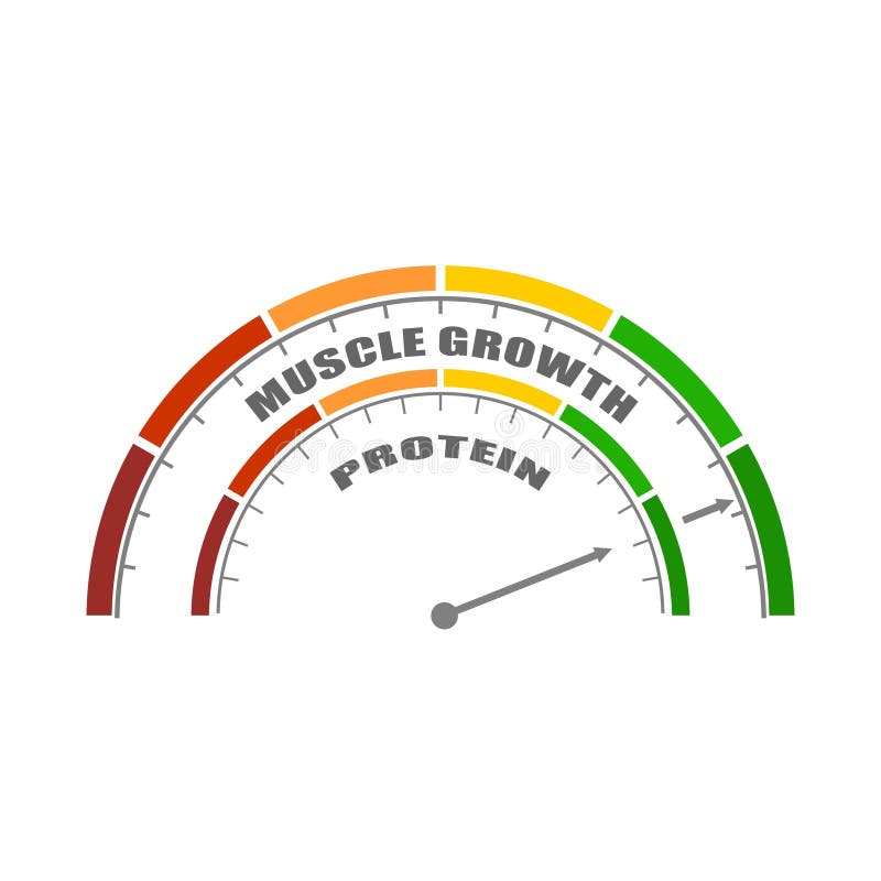 Abstract Measuring Device. Influence of Protein on Muscle Mass Building ...