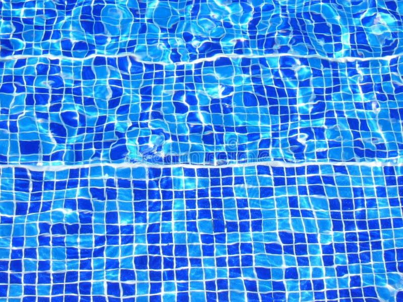 Scale Blu Della Tessera Dello Stagno Fotografia Stock - Immagine di ...