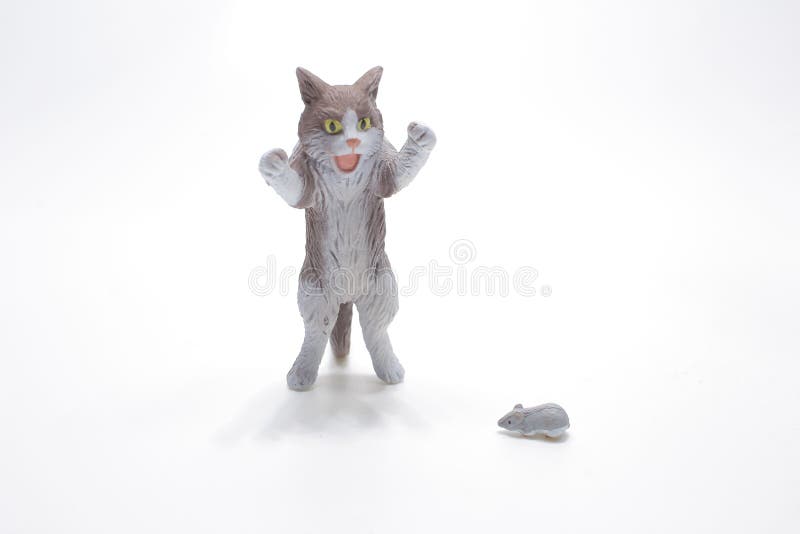A Scale of Cat Scared of Rat on Board Stock Photo - Image of little ...