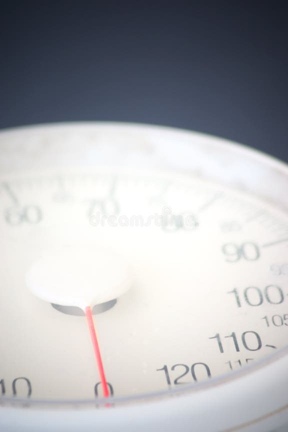 Scale detail stock photo. Image of obesity, flesh, grossness - 9778