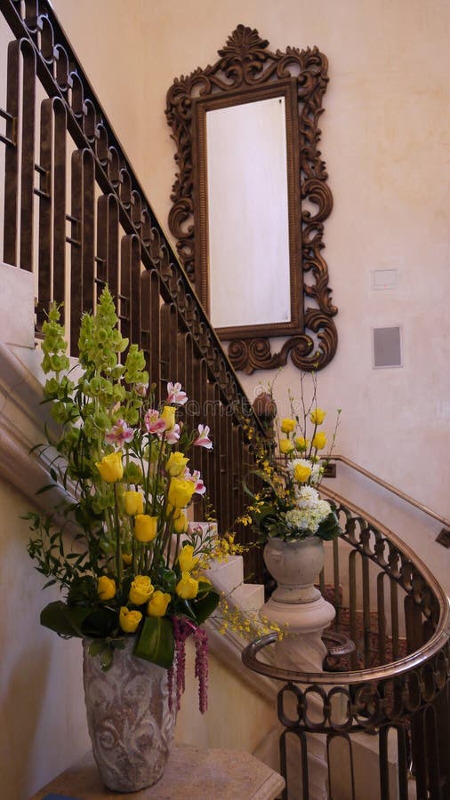 Scale e specchio immagine stock. Immagine di mazzo, bordo - 19878841