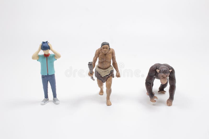 A Scale of Figure of Human Evolution Stock Image - Image of phone ...