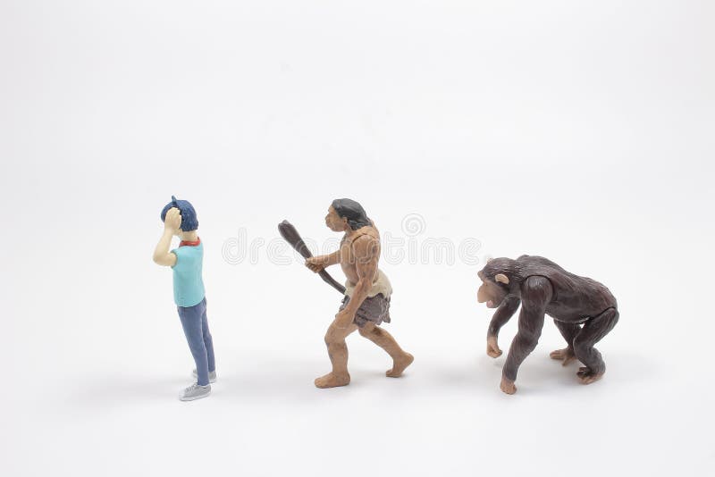 A Scale of Figure of Human Evolution Stock Image - Image of life ...