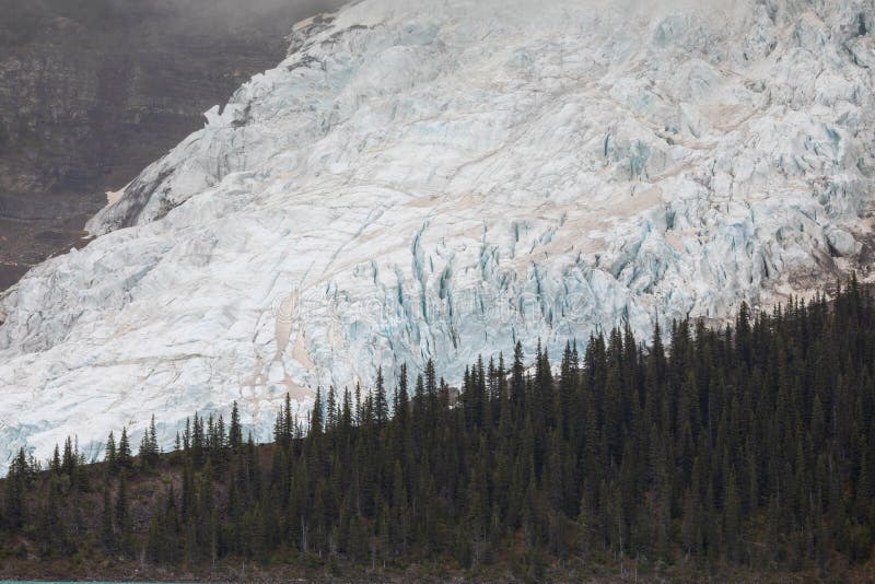 Scale of a Glacier Behind a Forest of Trees Stock Photo - Image of ...