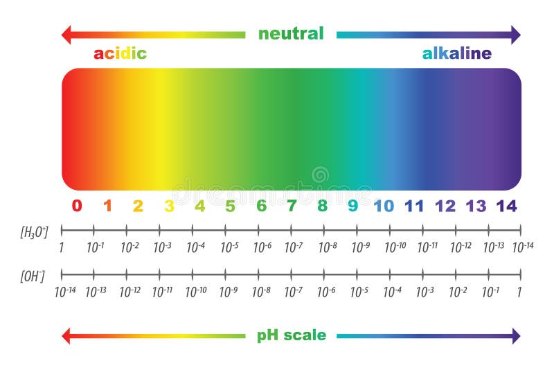 Scale of Ph Value for Acid and Alkaline Solutions Stock Vector ...