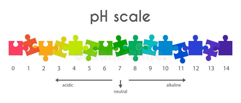 Scale of PH Values for Acid-base Solution in Form of Puzzles ...