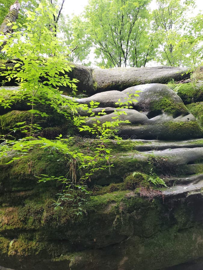Scale the Rocks stock photo. Image of nature, rocks - 223653216