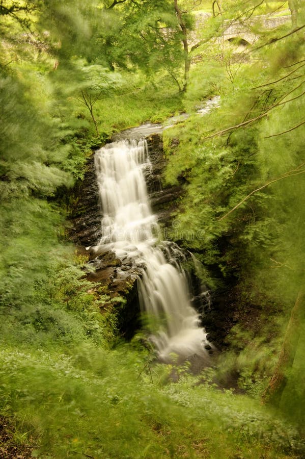 Scalebar Force, Falling into the Ravine, Stock Photo - Image of settle ...