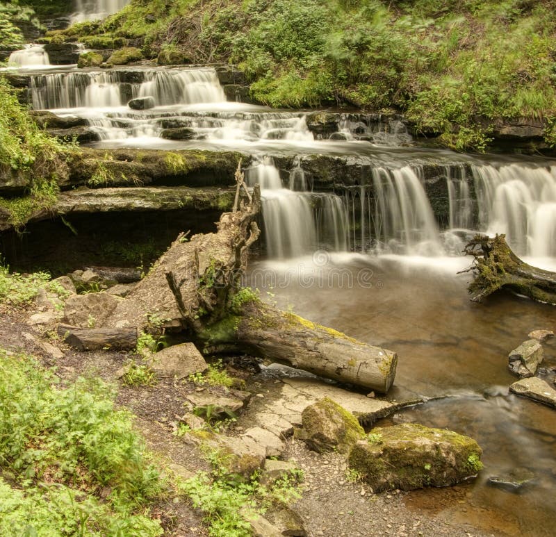 Scalebar Force, Inthe Ravine. Stock Photo - Image of ravine, windy ...