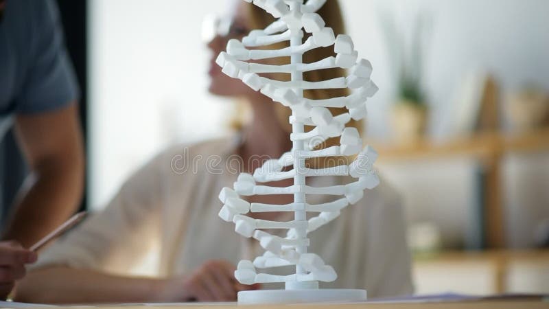 Scaled Up Look on DNA Model Studied by Scientists Stock Video - Video ...