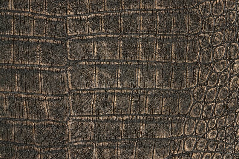 Scaled Wallpaper Background Stock Image - Image of frame, design: 36732229