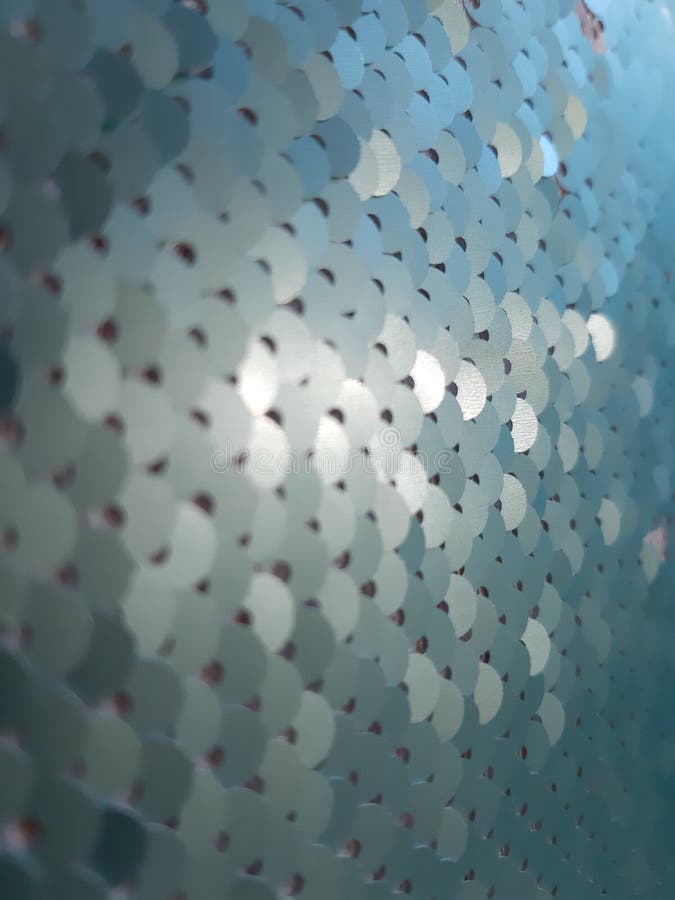 Shiny and beautiful scales stock photo. Image of azure - 204124208