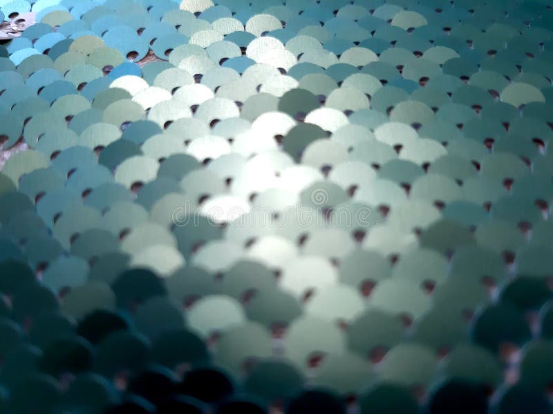 Shiny and beautiful scales stock photo. Image of direction - 204124296