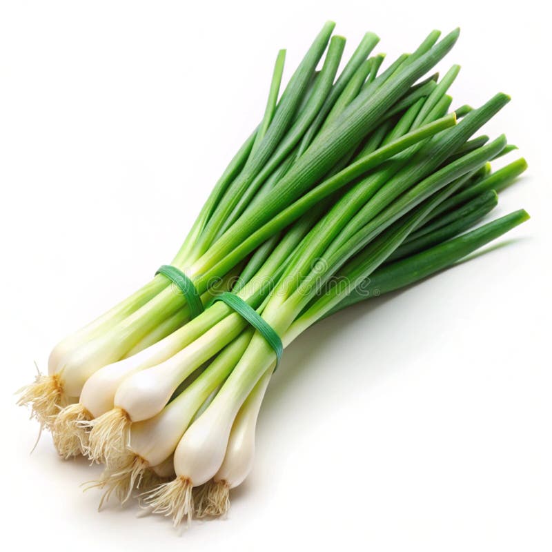 Scallion Isolated on White Background Stock Photo - Image of immune ...