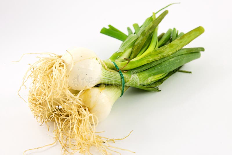Scallion, leek stock photo. Image of cool, healthy, onion - 25310846
