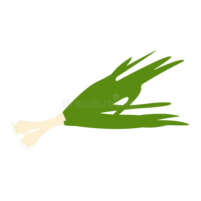 Scallion Vegetable with Flat Vector Illustration Stock Vector ...
