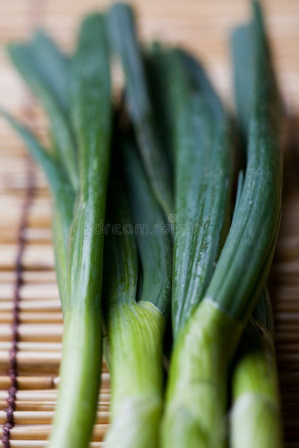 Scallions stock image. Image of aroma, uncooked, spring - 2302341