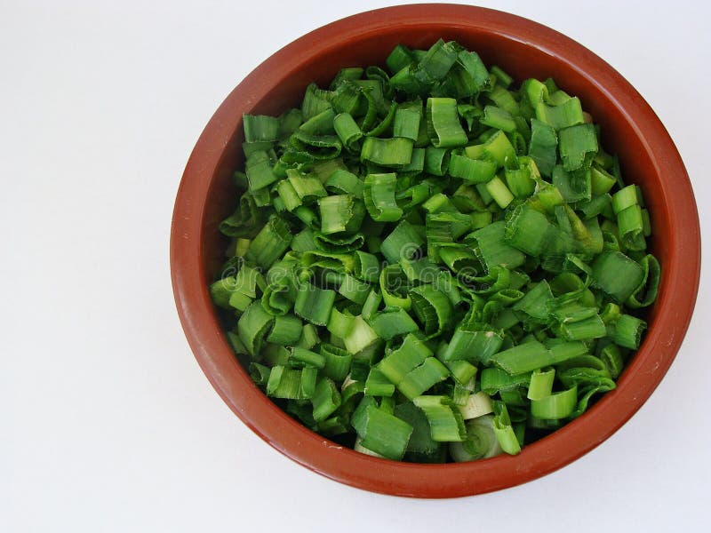 Scallions stock photo. Image of green, scallions, spring - 40366114