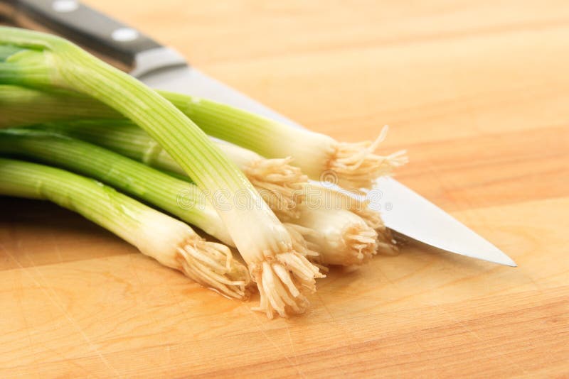 Scallions with knife stock photo. Image of savory, cutting - 18304180