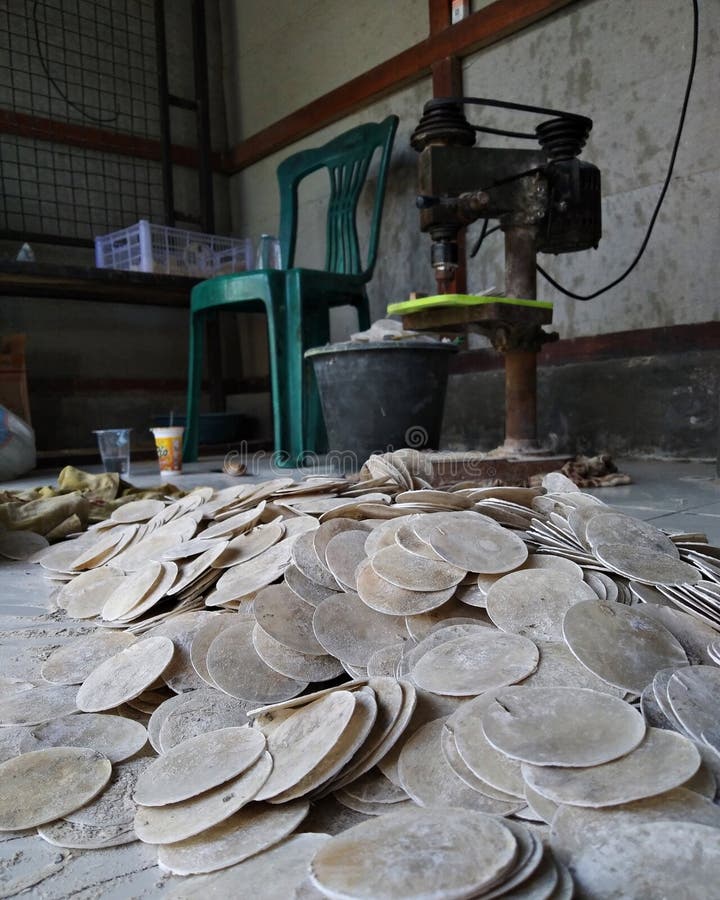 Amusium Pleuronectes Stock Photos - Free & Royalty-Free Stock Photos ...