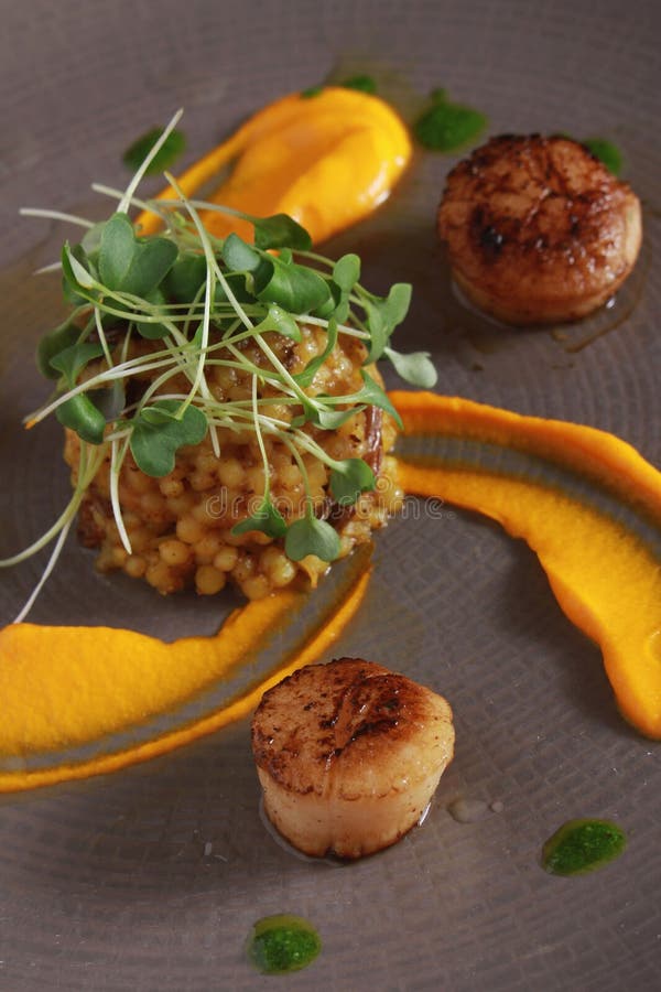 Scallop appetizer starter stock photo. Image of main - 63563918