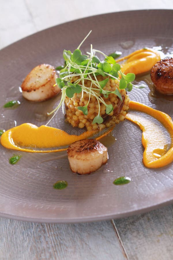 Scallop appetizer starter stock photo. Image of meal - 63563942