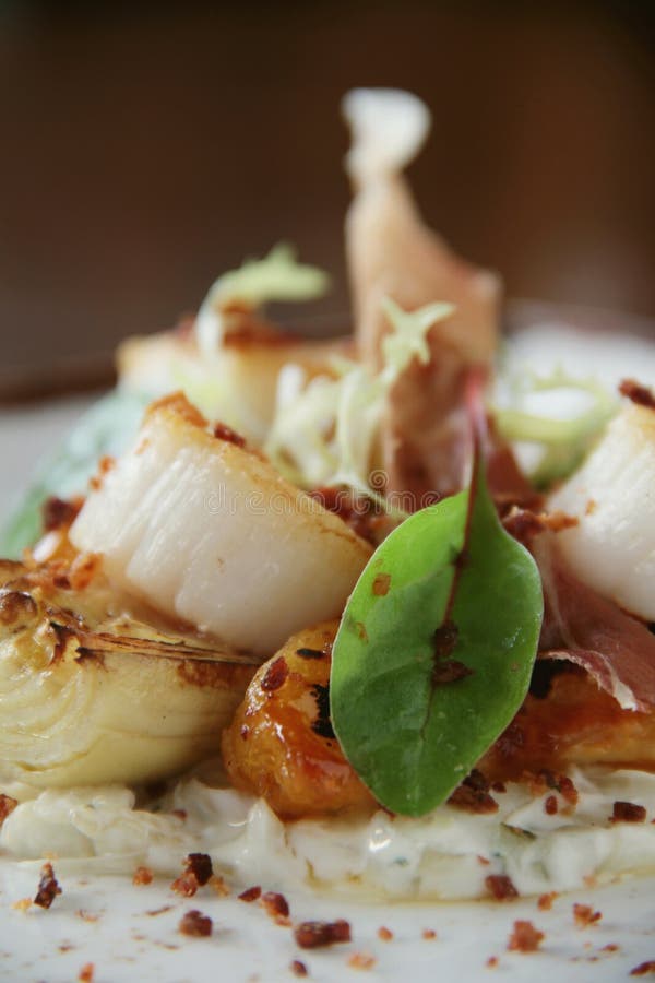 Scallop appetizer starter stock photo. Image of salad - 63564840