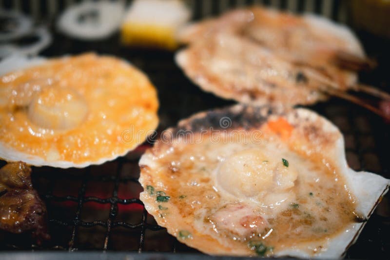 Scallop Barbecue with Shells on Grilled Stock Image - Image of barbecue ...