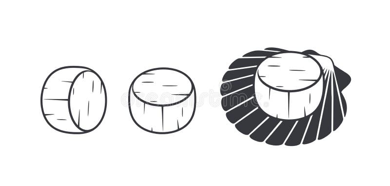 Scallop Logo. Isolated Scallop on White Background Stock Vector ...