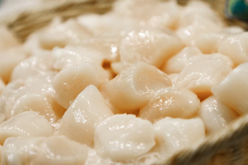 Scallop meat stock photo. Image of cuisine, gourmet - 146700096